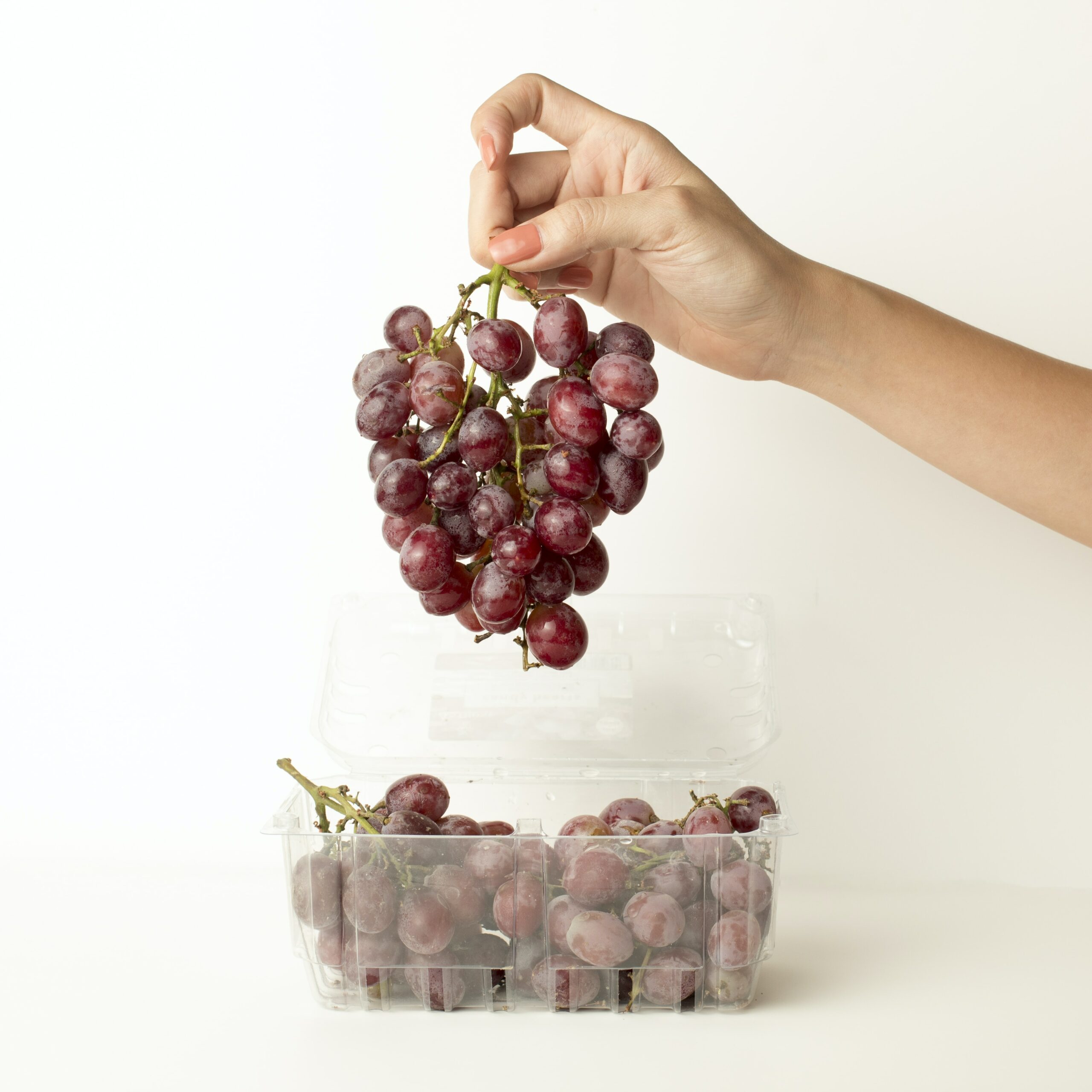 Small Backyard Vineyard: A Beginner's Guide to Growing Grapes at Home ...